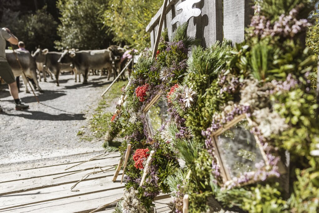 Almabtrieb Fendler Alm | Kaunertal